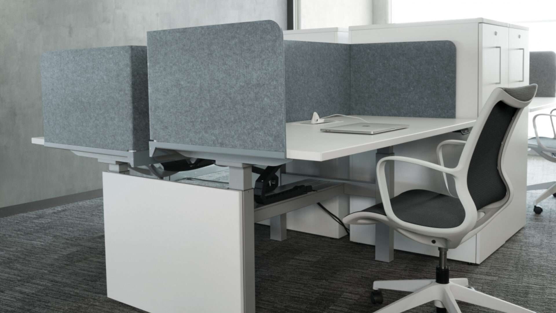 2 Person Standing Desk | Pacific Ergonomics