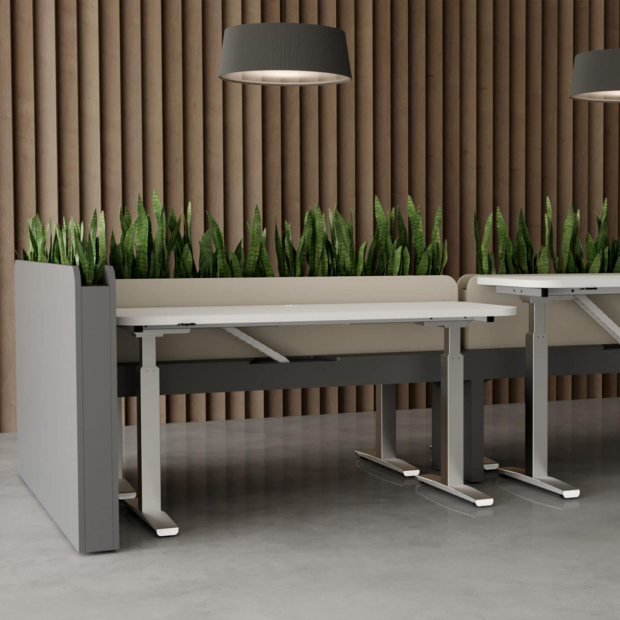 Biophilic Design Desk Placement | Pacific Ergonomics
