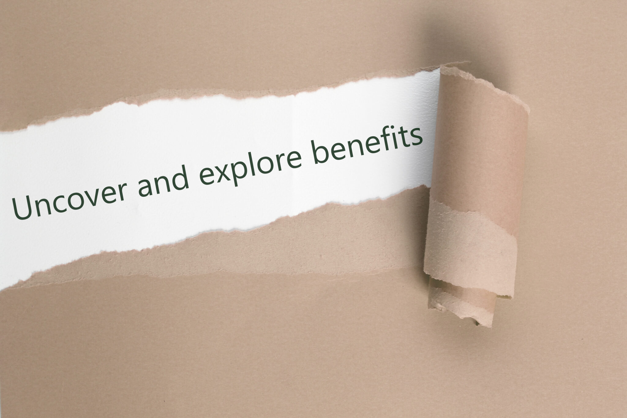 Implement a Turnkey Ergonomics Program: Transform Your Workforce with ...